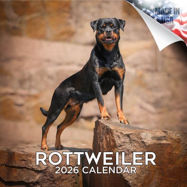 Rottweiler Wall Calendar 2026 – MegaCalendars.com