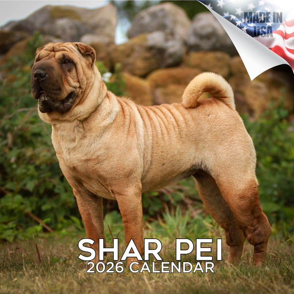 Shar Pei Wall Calendar 2026 – MegaCalendars.com