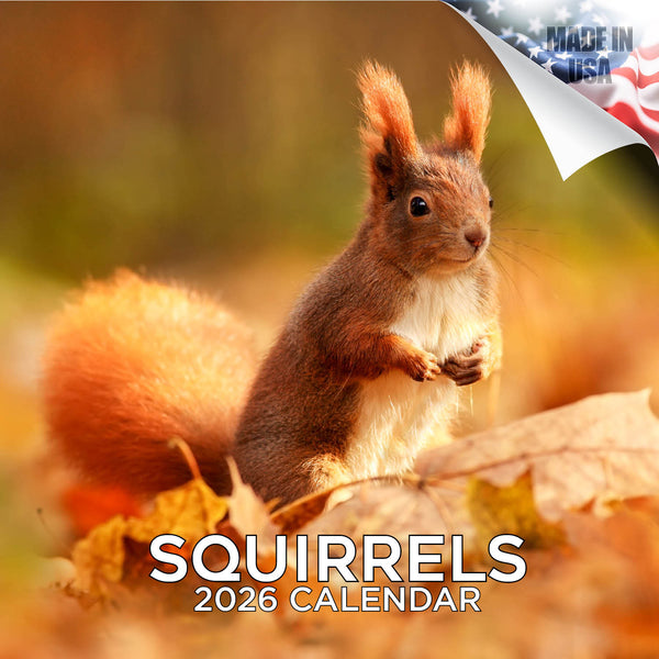 Squirrels Wall Calendar 2026 – MegaCalendars.com