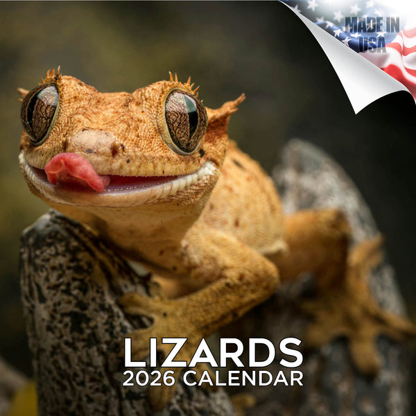Lizards Wall Calendar 2026 – MegaCalendars.com