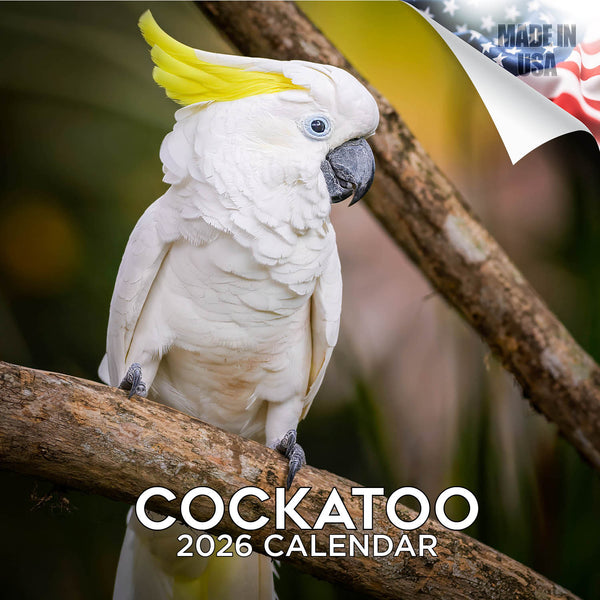 Cockatoos Wall Calendar 2026 – MegaCalendars.com