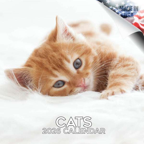 Cats Wall Calendar 2026 – MegaCalendars.com