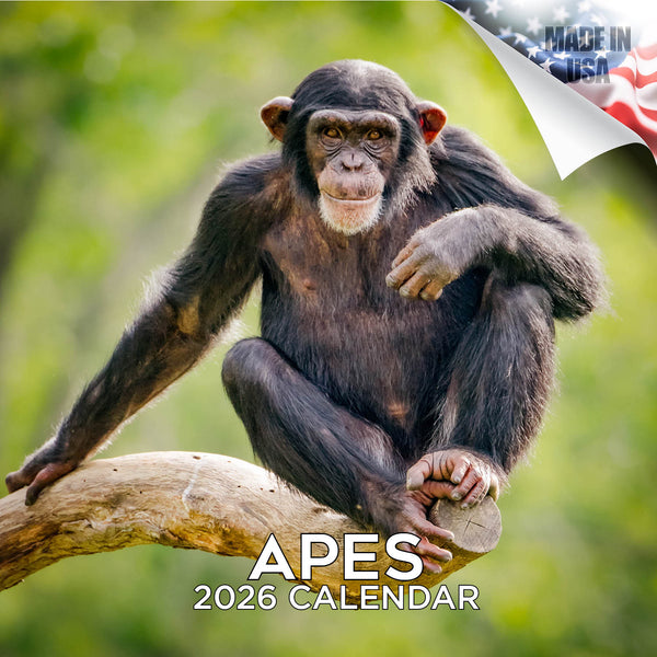 Apes Wall Calendar 2026 – MegaCalendars.com