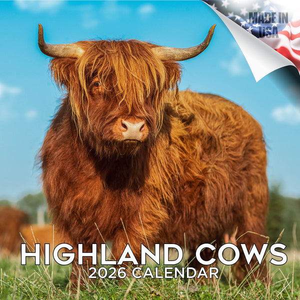Highland Cows Calendar 2026 – MegaCalendars.com