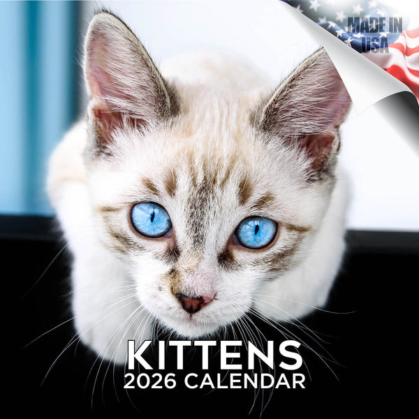 Kittens Wall Calendar 2026 – MegaCalendars.com